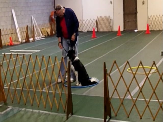 Brody Erickson - Peaceful Paws Mortuary & Crematory, LLC