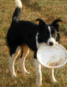 Brody Erickson - Peaceful Paws Mortuary & Crematory, LLC