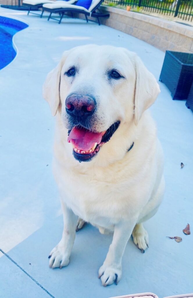 Kody Edwards - Peaceful Paws Mortuary & Crematory, LLC
