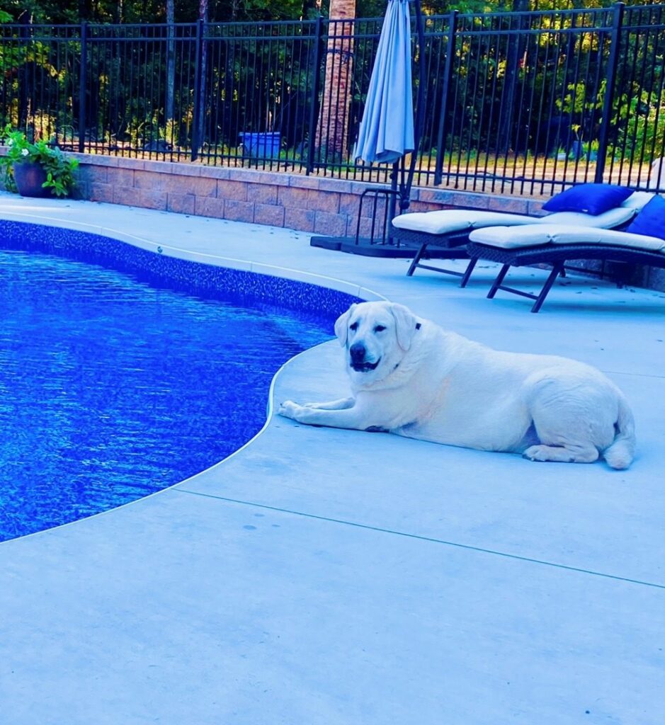 Kody Edwards - Peaceful Paws Mortuary & Crematory, LLC